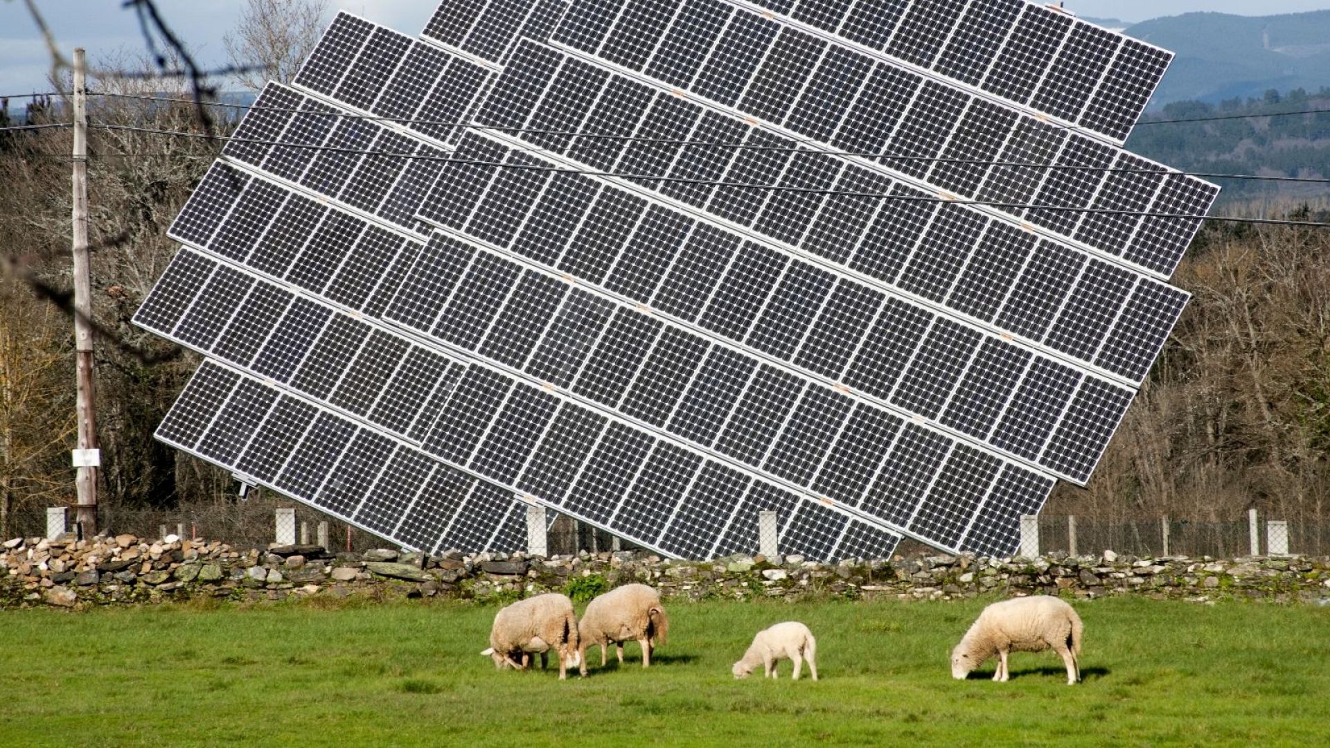 ‘We are all benefitting’: Why has this Kosovan solar farm brought in ...