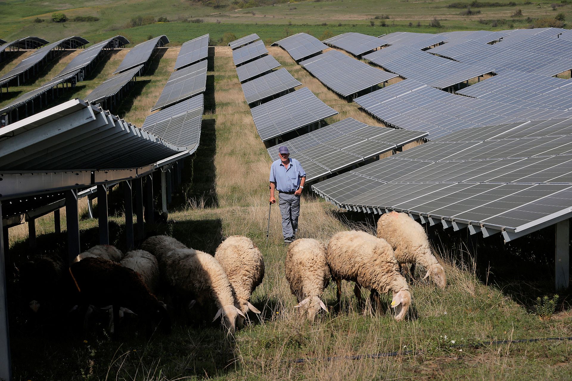 ‘We are all benefitting’: Why has this Kosovan solar farm brought in ...