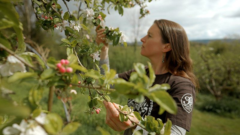 This community seed program is ensuring the future of food in Ireland ...