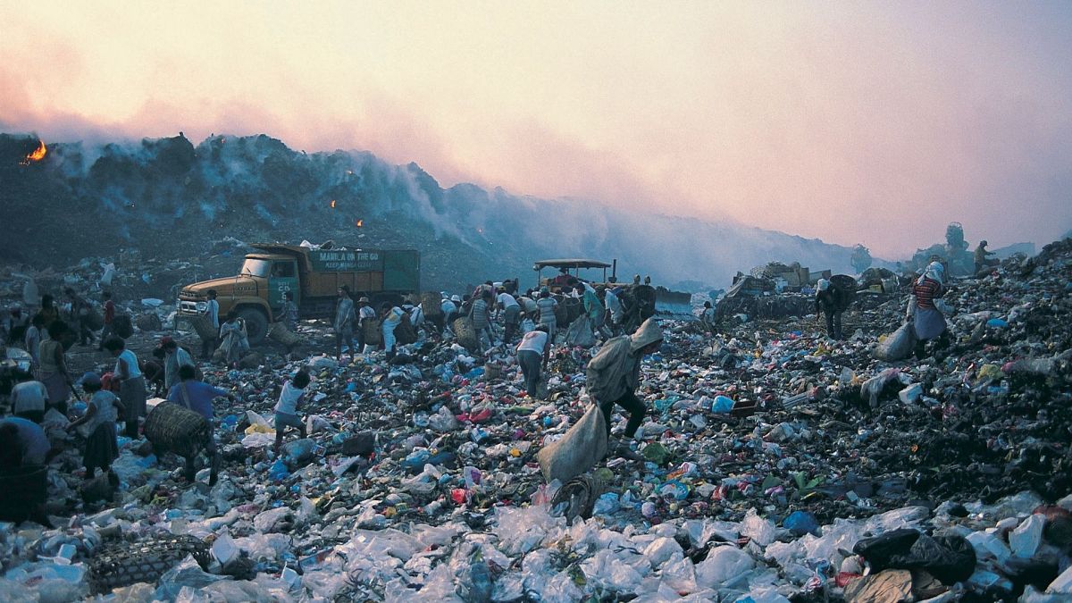 Top international lawyers to make ‘ecocide’ a crime against nature ...