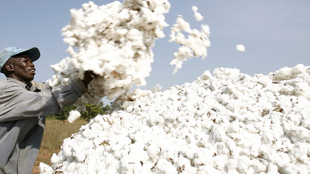 Togo wants to re-launch its cotton industry | Africanews