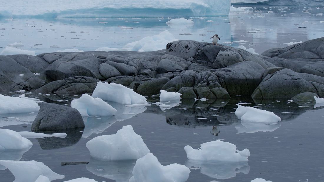 Explainer: How Antarctica is helping in the climate fight and how we ...
