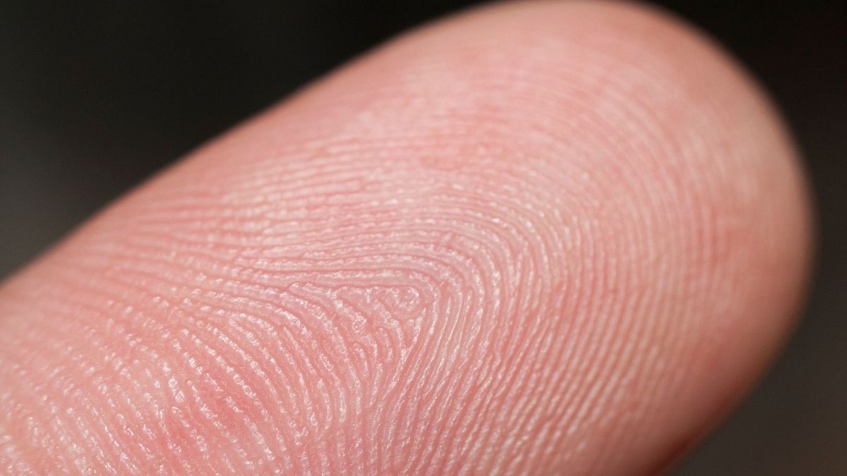 This device produces energy from your sweat while you sleep | Euronews