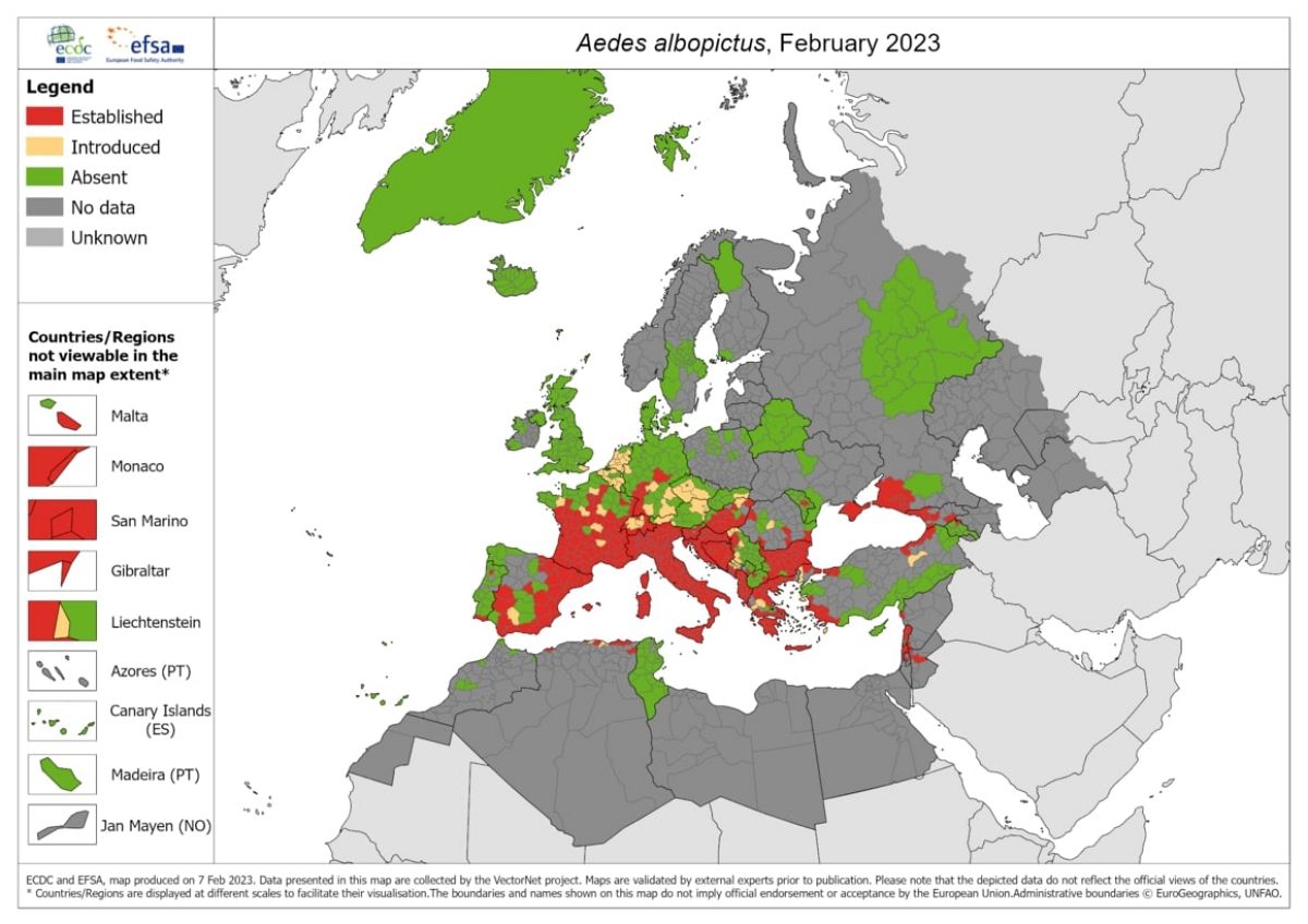 Disease-carrying mosquitoes are spreading through Europe: How can we ...
