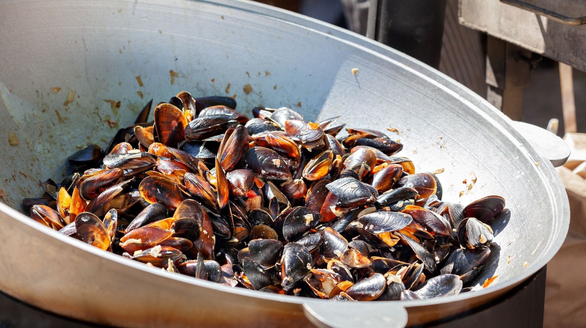 Mussel poo could be the secret to removing microplastics from the ...