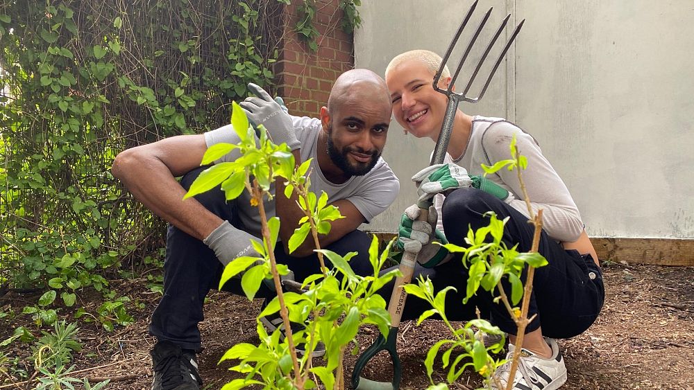 What is guerrilla gardening and how does it help combat climate change ...