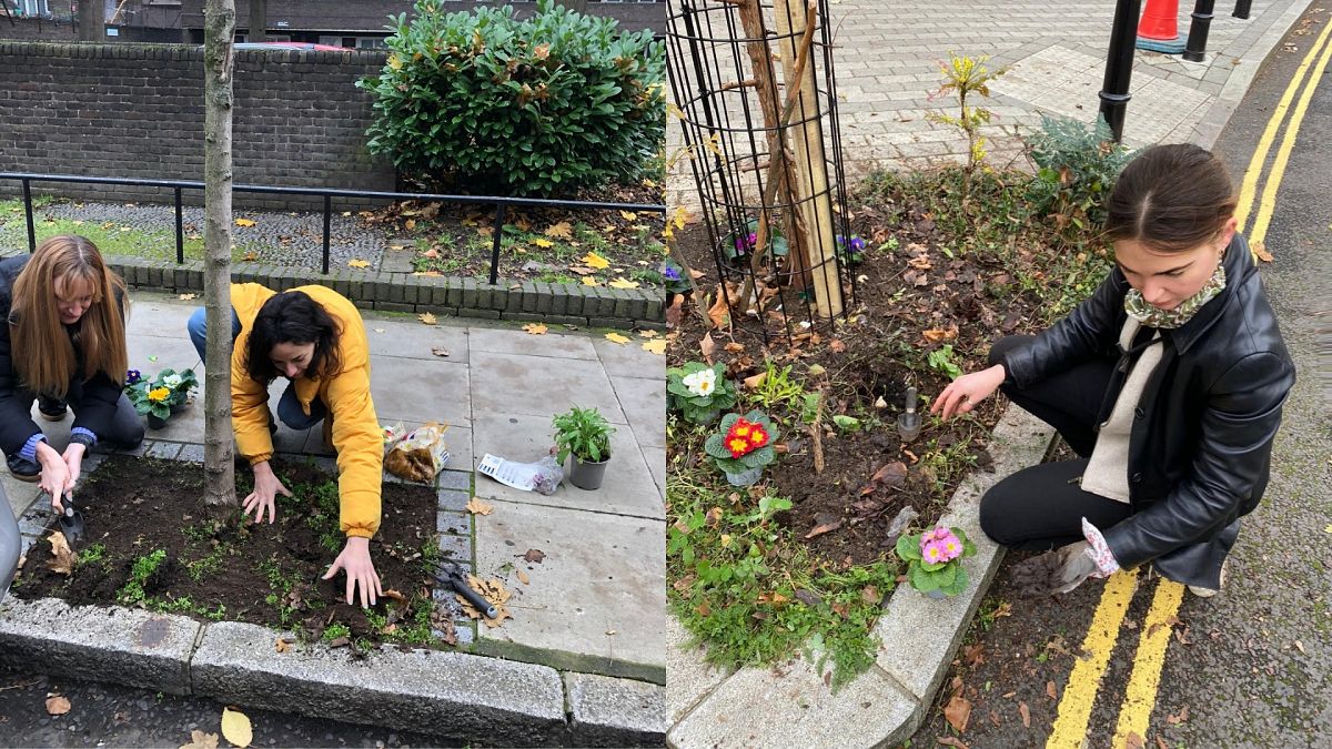 What is guerrilla gardening and how does it help combat climate change ...