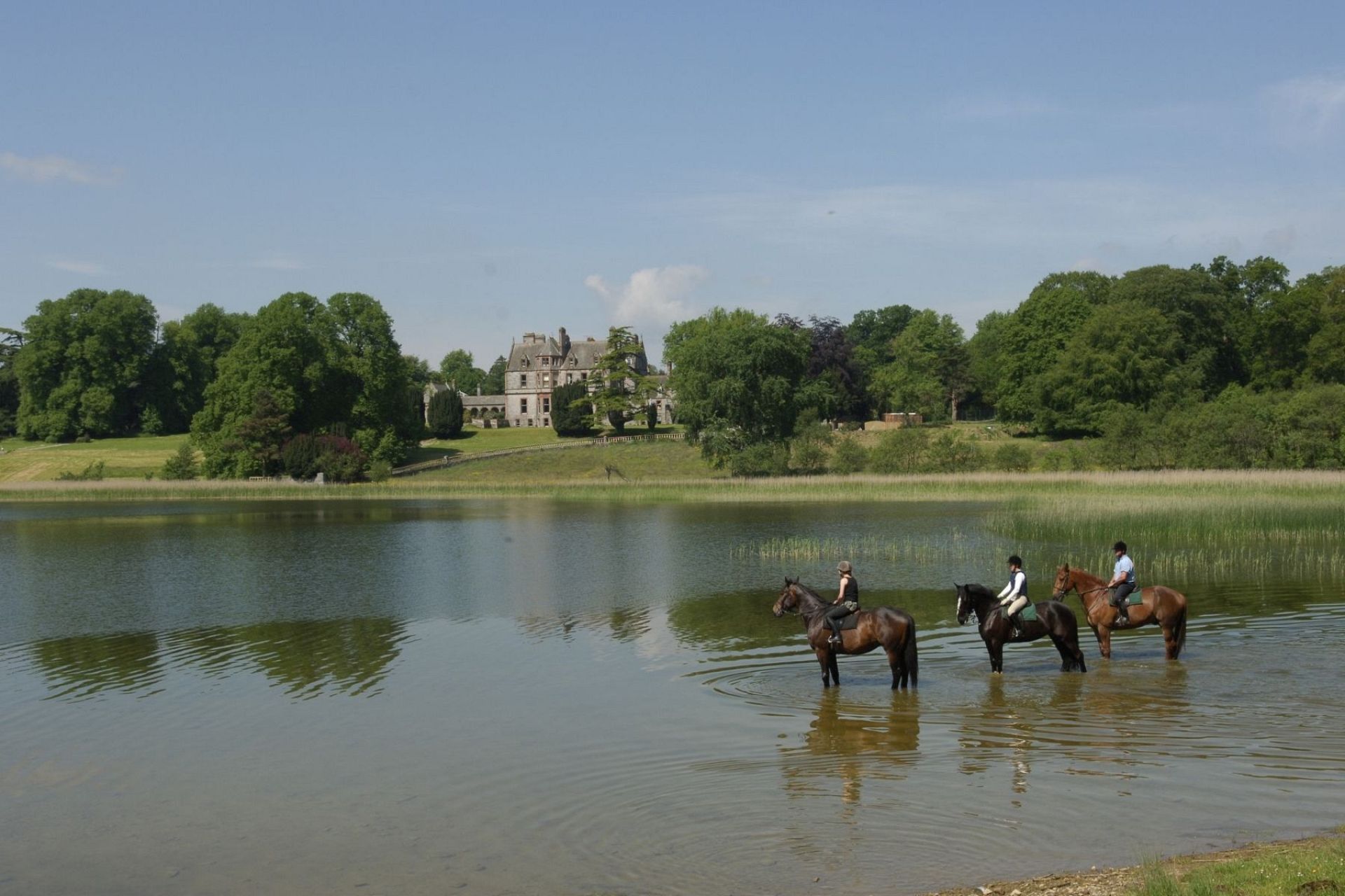 10 enchanting castles in Ireland that you can actually stay in | Euronews