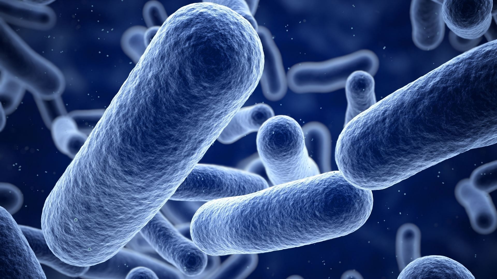 Mysterious bacteria found in the Arctic can break down oil and diesel | Euronews