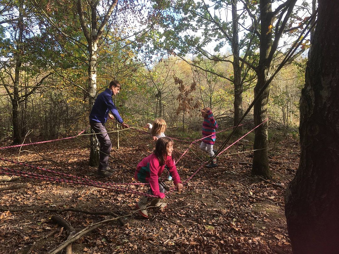 A ‘rewilding revolution’: How 9 million trees reforested England | Euronews