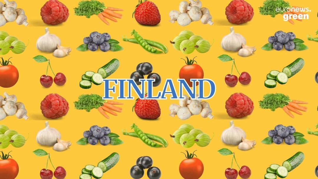 Updated: Which fruit and vegetables are in season in Europe right now ...