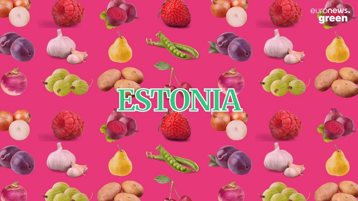 Updated: Which fruit and vegetables are in season in Europe right now ...