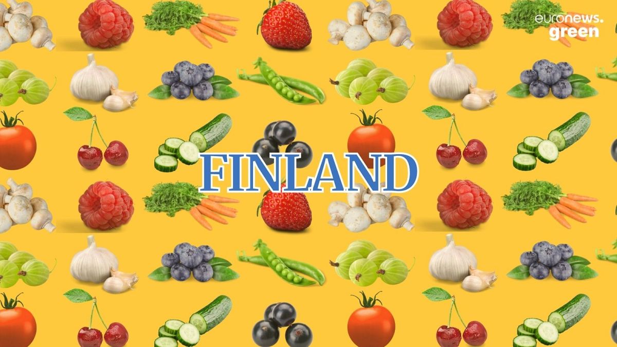 Updated: Which fruit and vegetables are in season in Europe right now ...