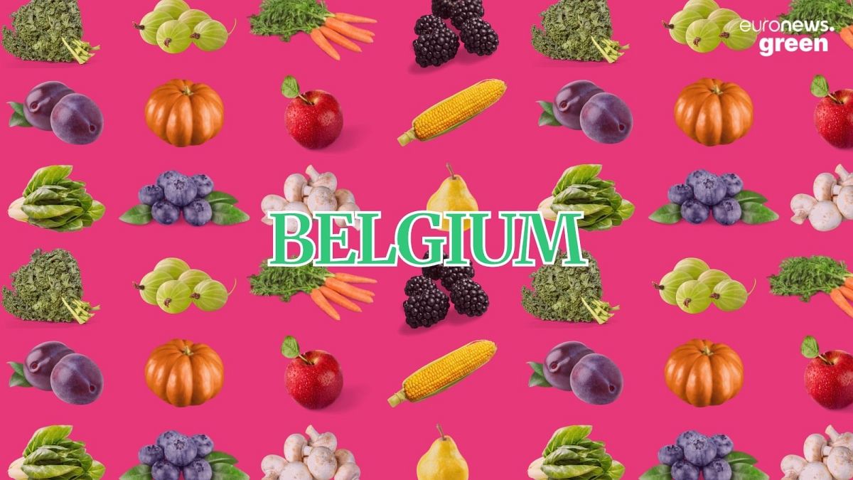 Updated: Which fruit and vegetables are in season in Europe right now ...