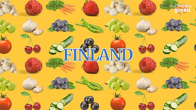 Updated: Which fruit and vegetables are in season in Europe right now ...