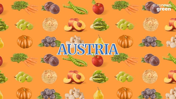 Updated: Which fruit and vegetables are in season in Europe right now ...