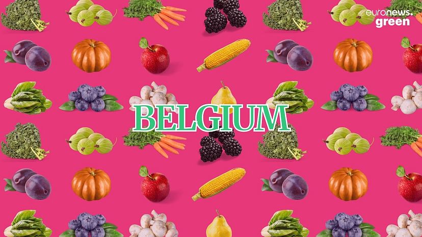 Updated: Which fruit and vegetables are in season in Europe right now ...