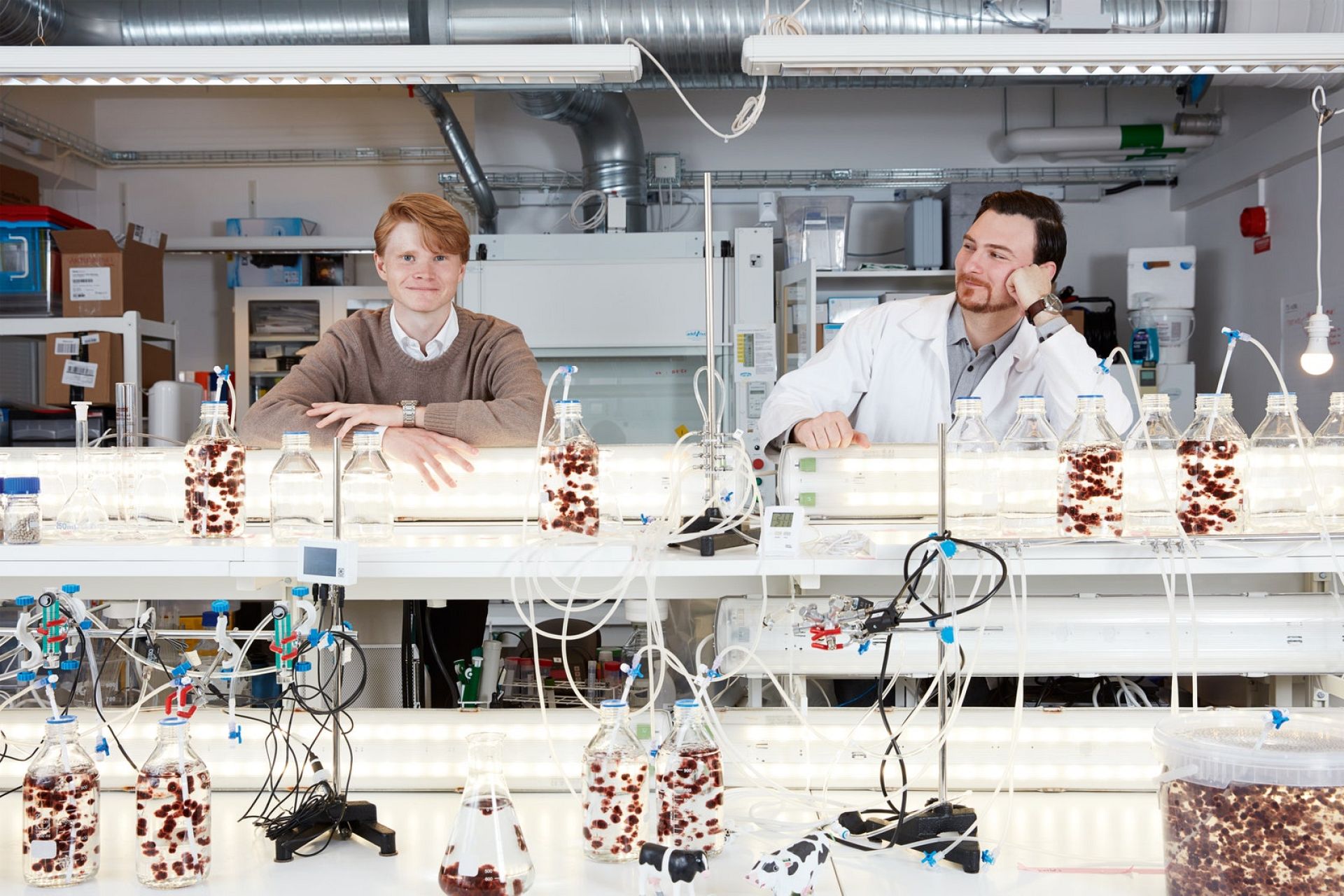 Seaweed to cow feed: Why is Sweden building the world’s largest algae ...