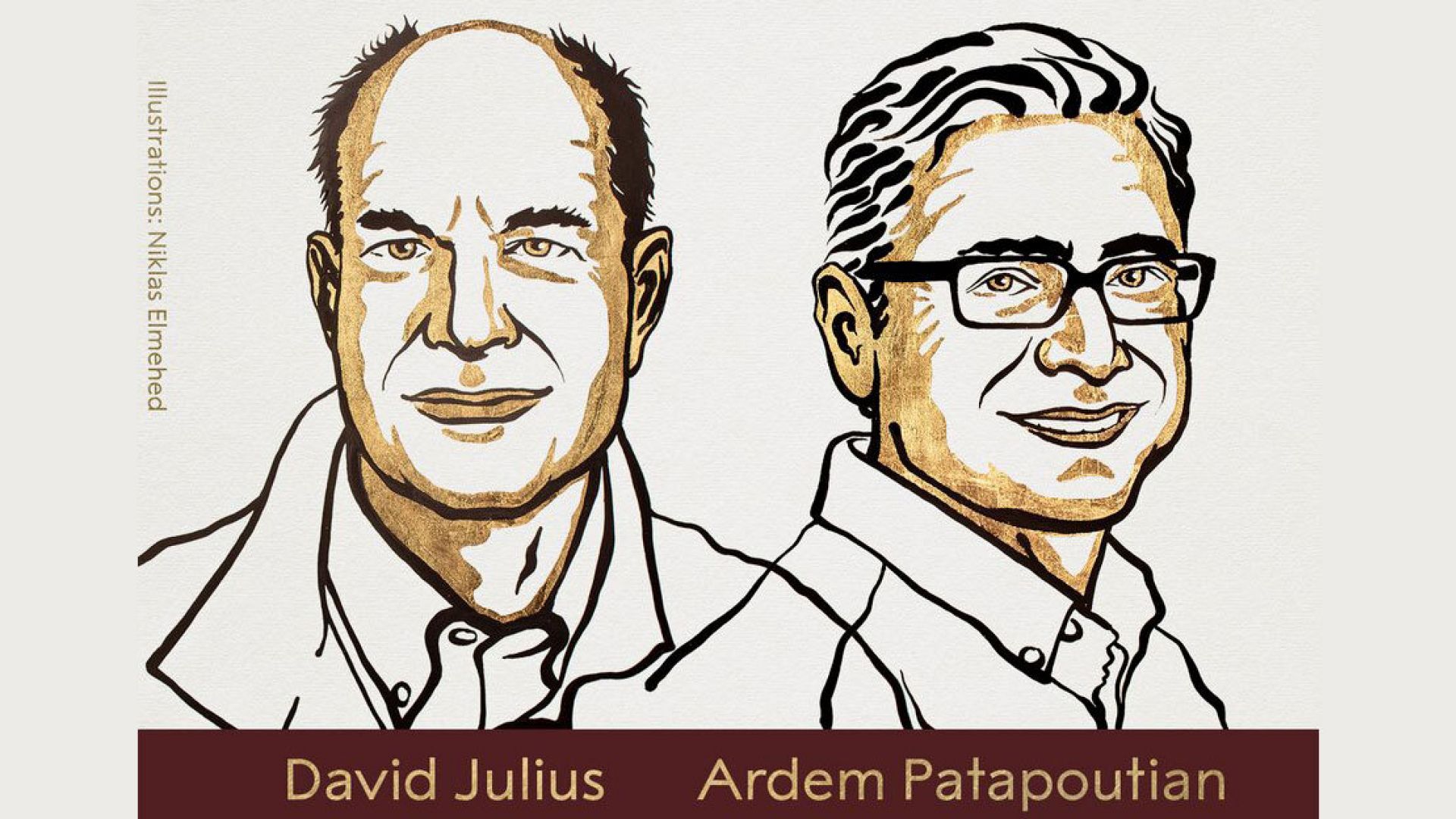 Nobel Prize in Physiology or Medicine awarded to David Julius and Ardem ...
