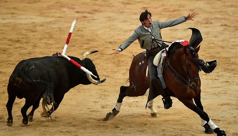 Spain ends National Bullfighting Award amid cultural changes | Euronews