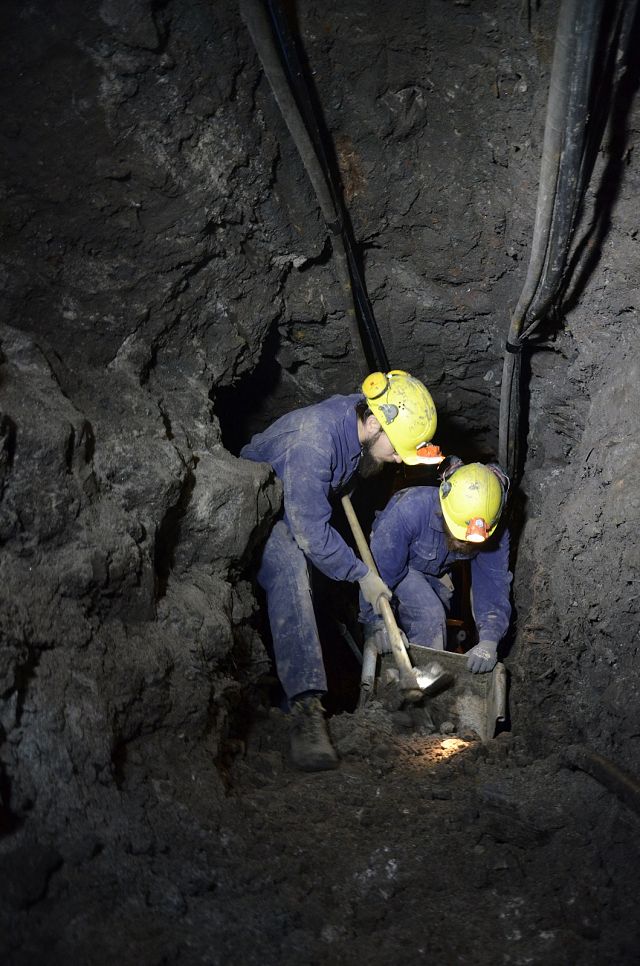 2,700-year-old poo found in an Austrian mine shows Iron Age Europeans ...