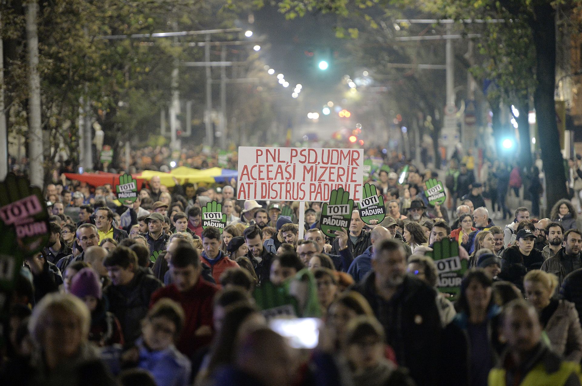 Even in Europe, standing up for the environment could get you killed ...