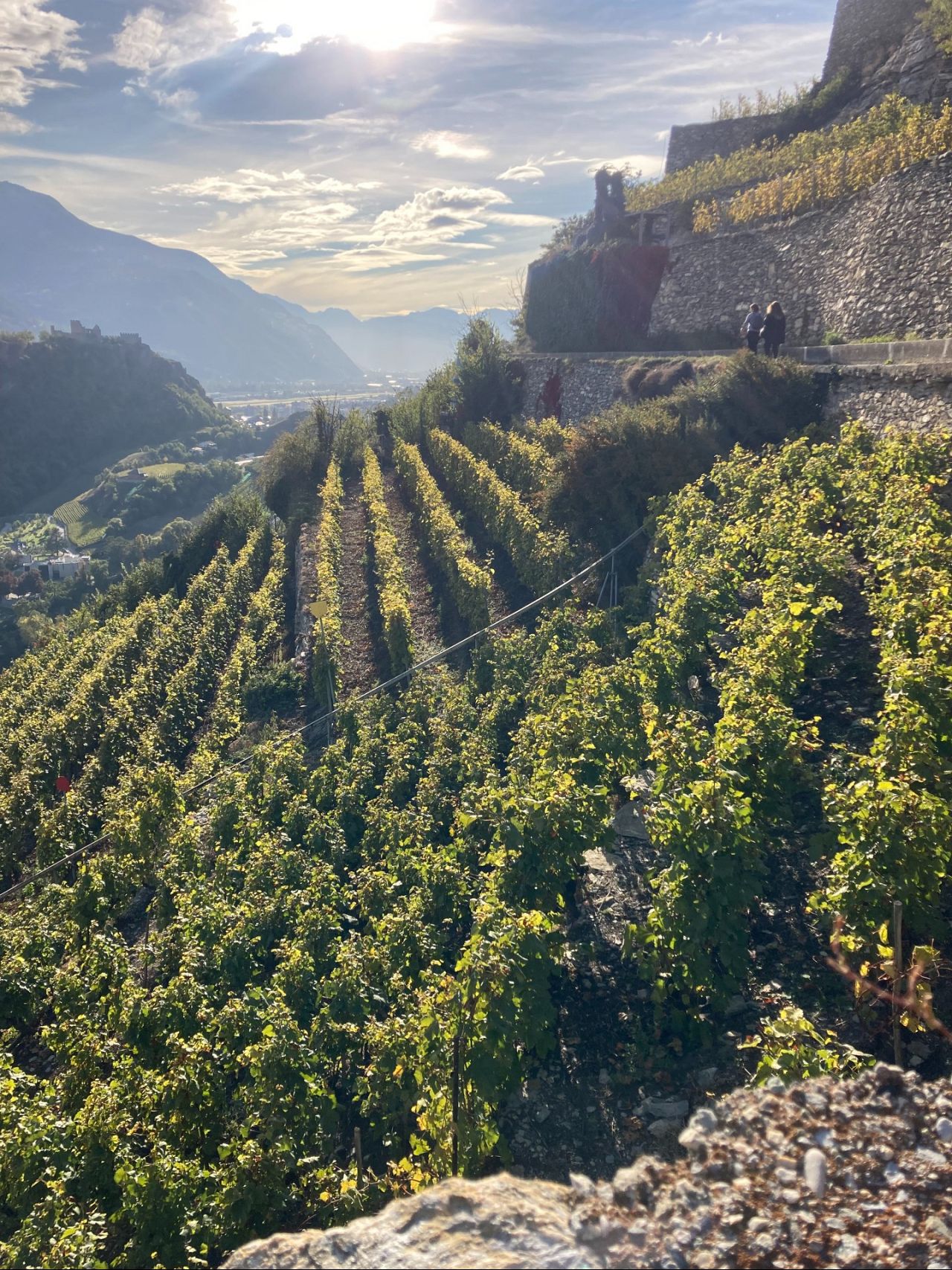 Why doesn't Swiss wine make it out of Switzerland? | Euronews