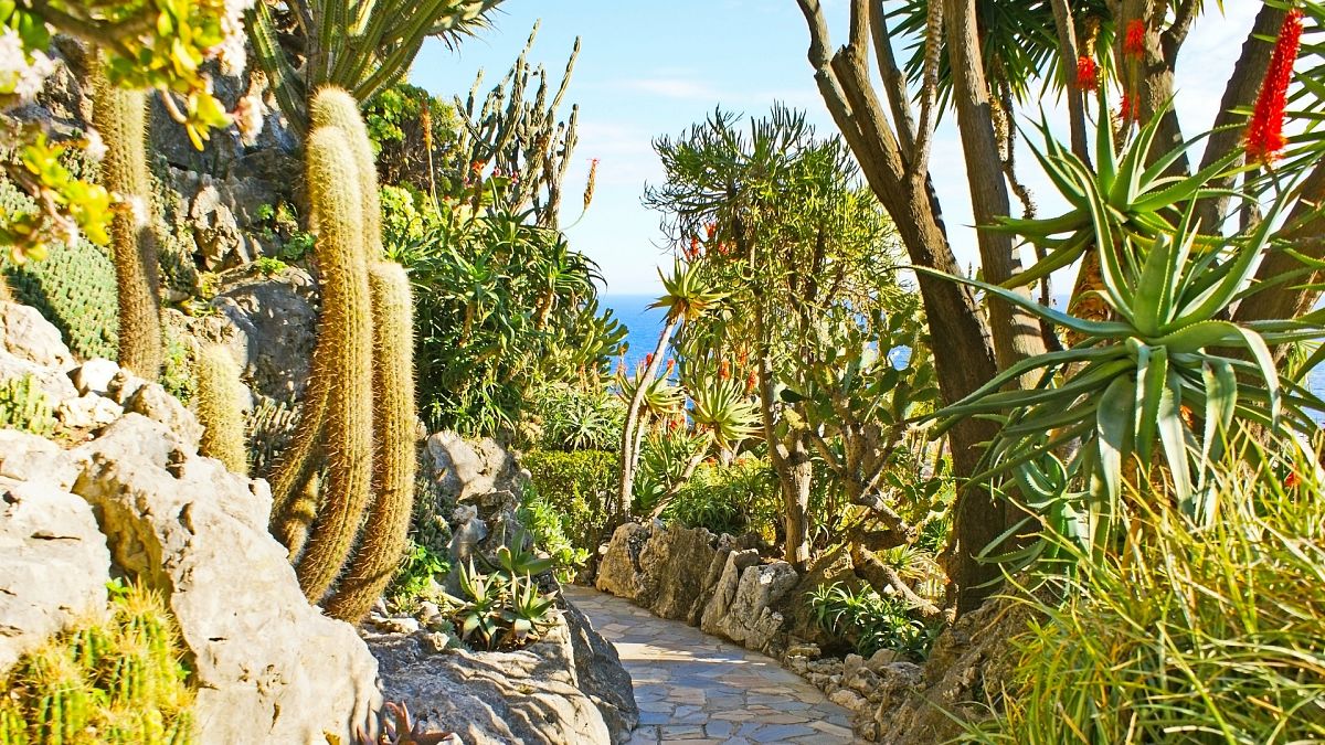 Monaco: Visit this elegant country for a taste of the good life | Euronews