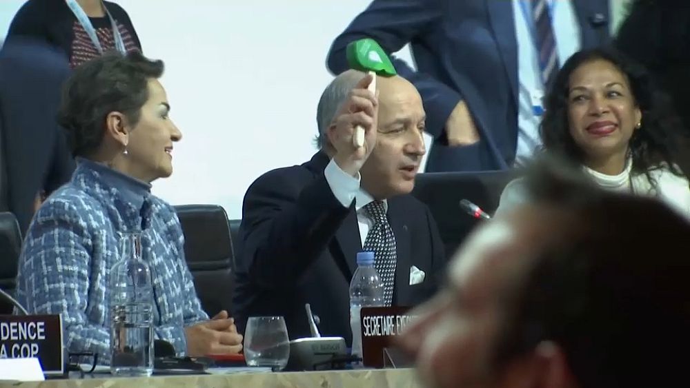 COP: A história da Conferência onde se luta pelo clima | Euronews