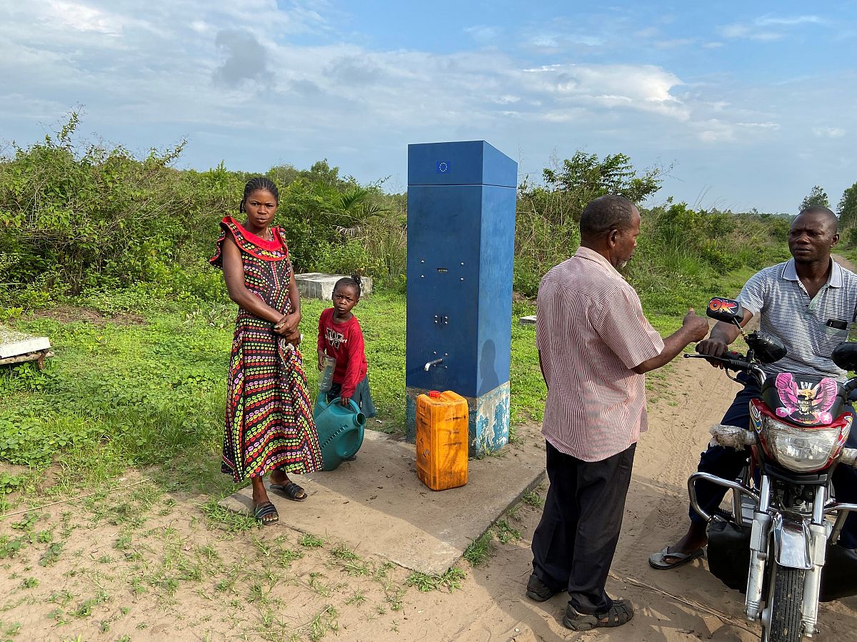 Rainforests in the DRC: "a solution" for climate change | Africanews
