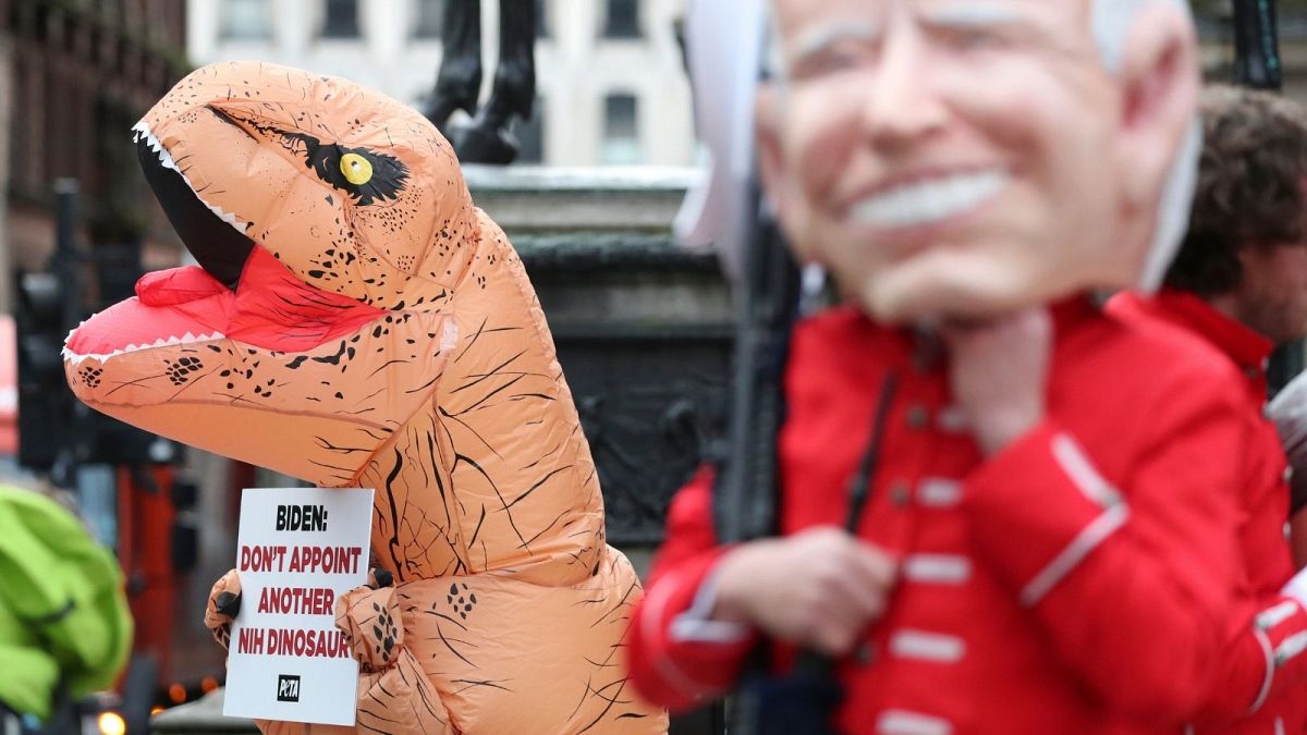 In pictures: From Pikachu to mermaids, these are the best protest ...