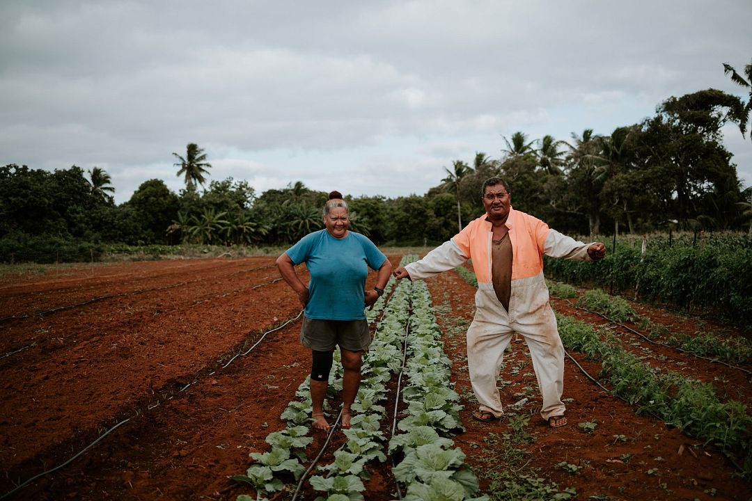 Cook Islands: Still COVID-free after positive test is found to be a ...