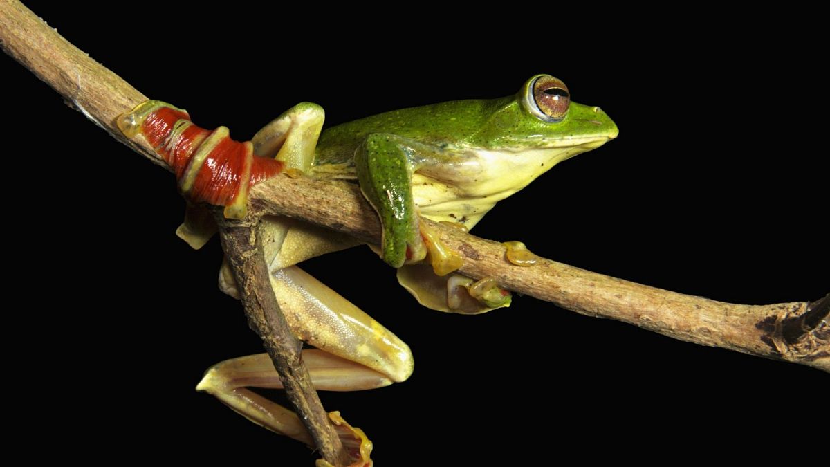 Flights to India are back on: Here’s why you should explore the ...