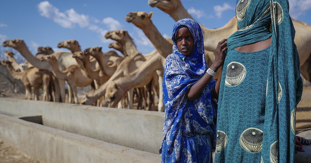 World Food Programme warns of high levels of malnutrition in northern ...