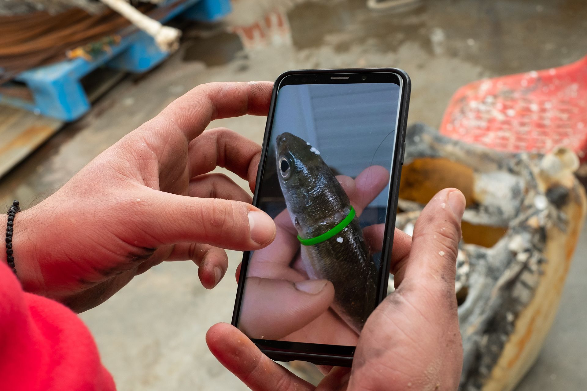 Meet the Greek fisherman cleaning up the Mediterranean Sea | Euronews