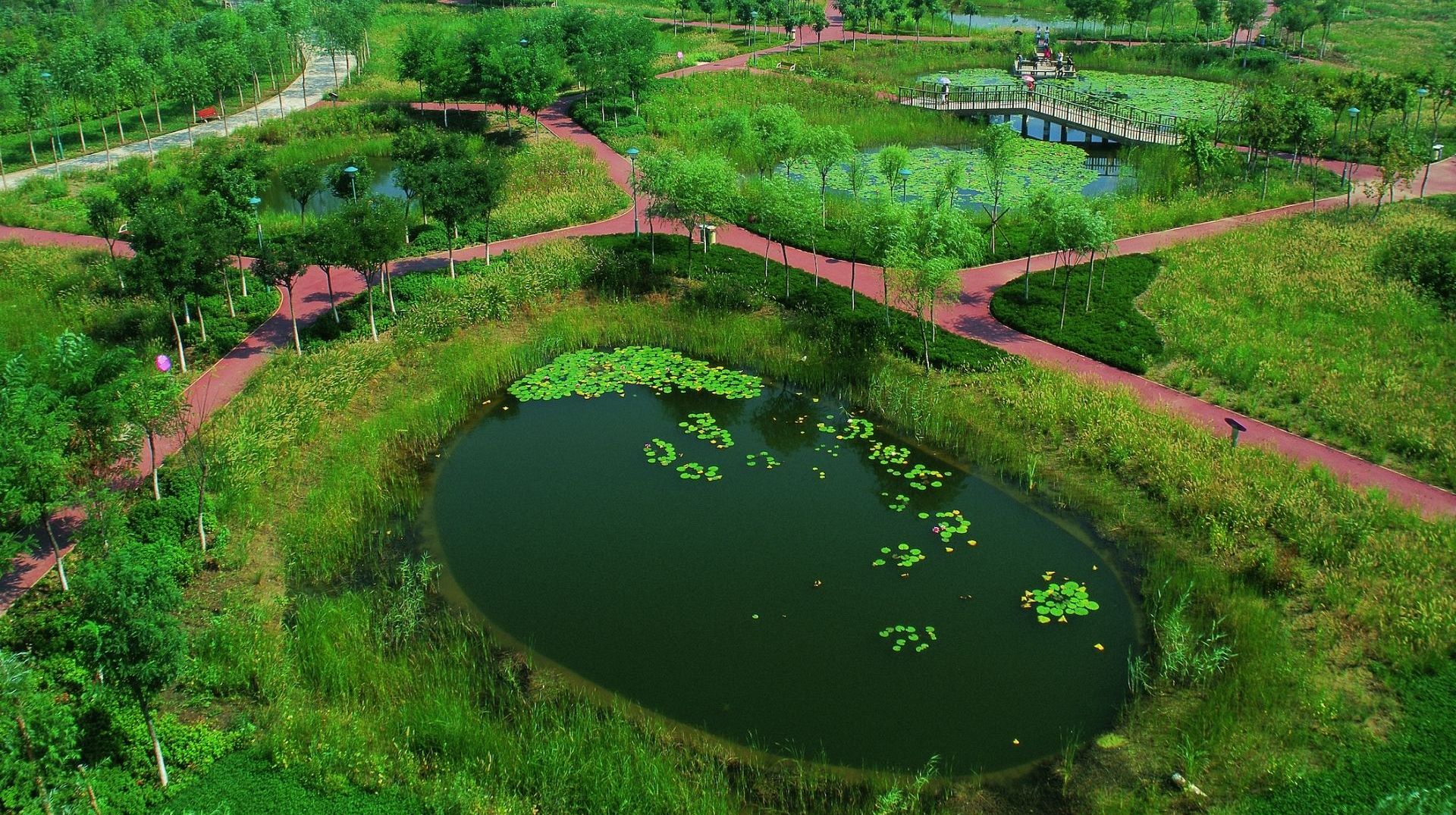 What are sponge cities and could they solve China's water crisis ...