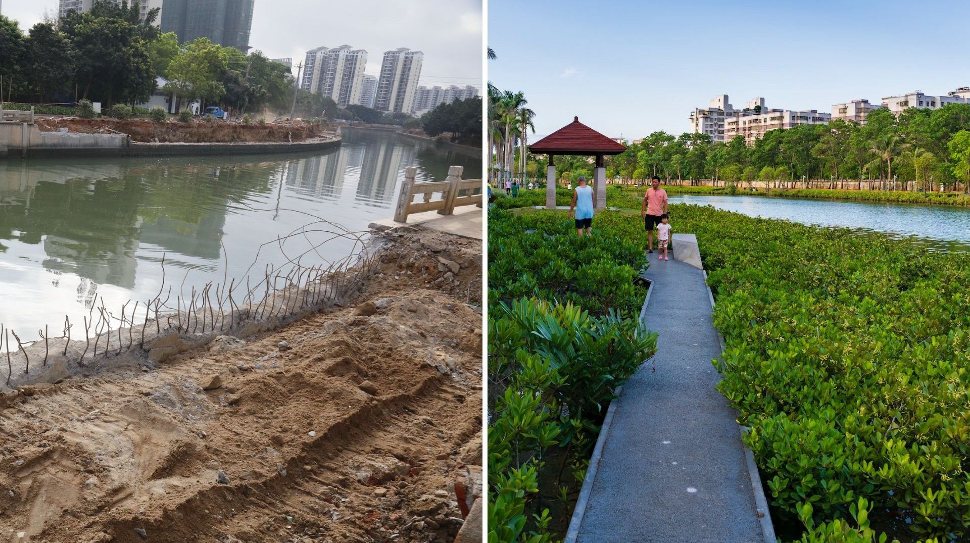 What are sponge cities and could they solve China's water crisis ...