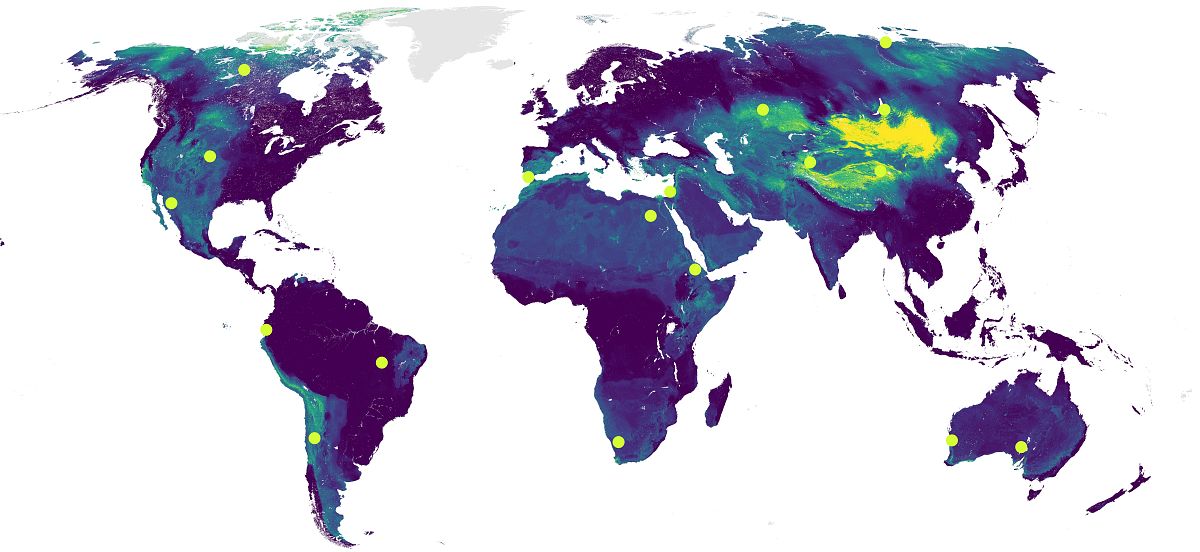 Scientists are mapping the world’s fungal networks for the first time ...