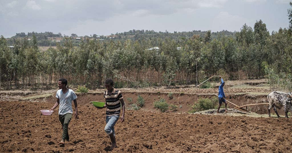 UN urges investments in agriculture, infrastructure to close ...