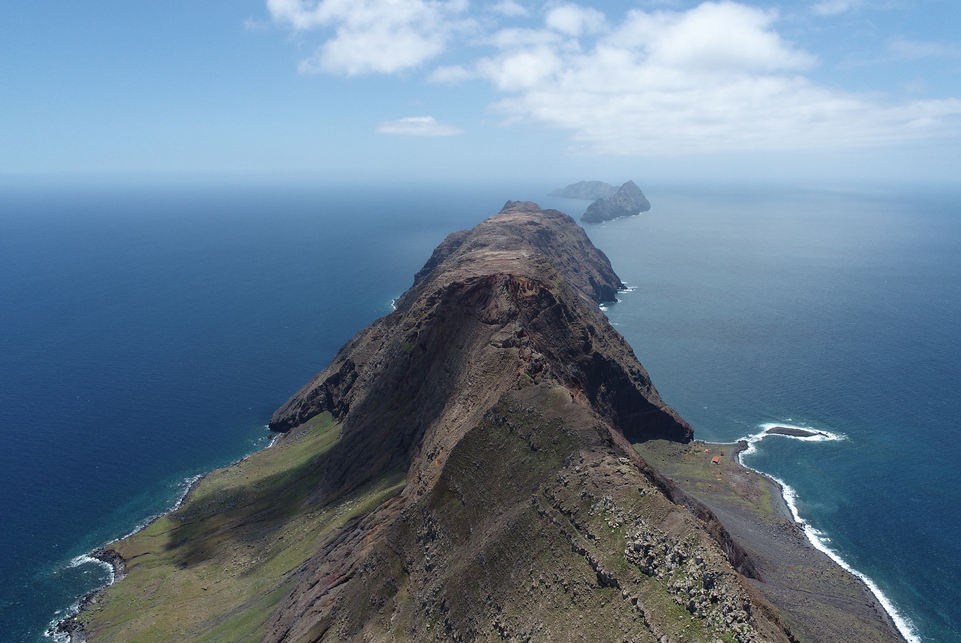 ‘Magnificent’ and minuscule snails saved from extinction by UK zoos ...