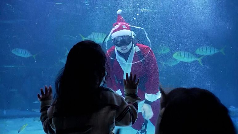 VIDEO : Underwater Santa puts on a show at Seoul aquarium | Euronews