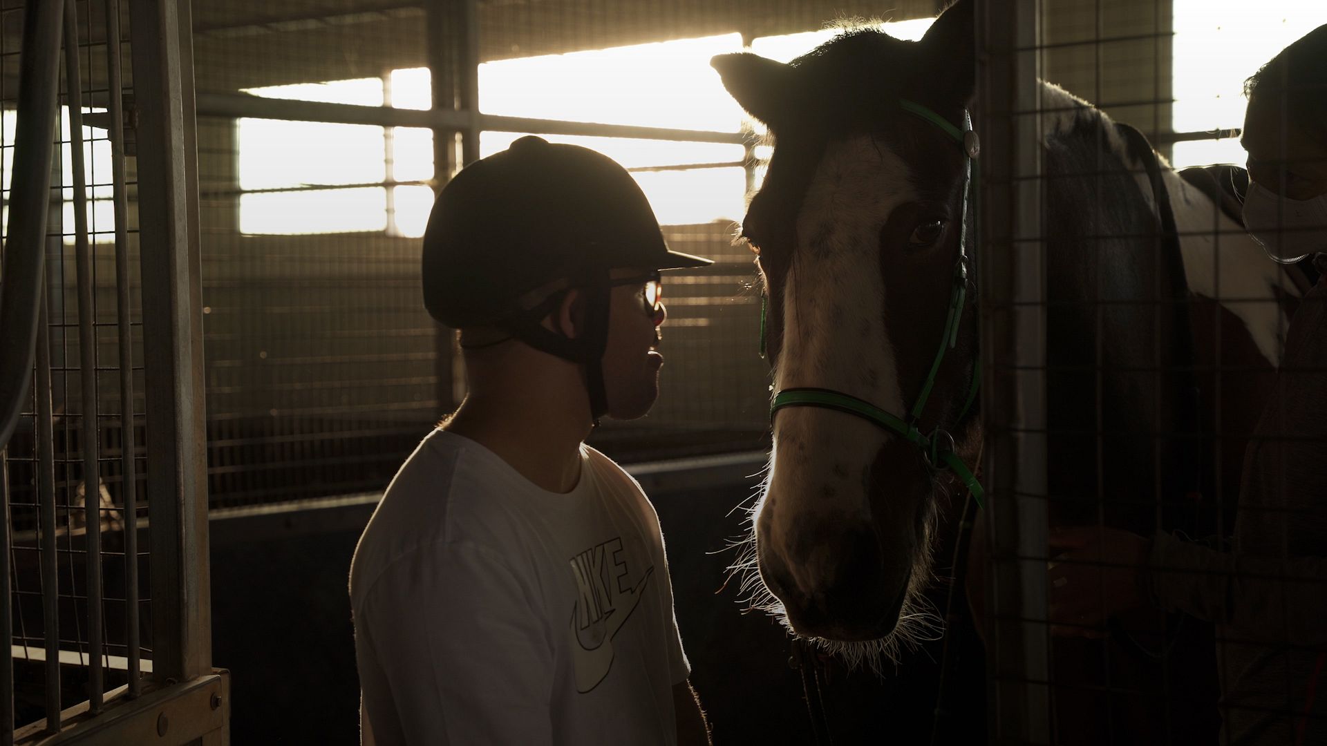 How can therapy involving horses help people with disabilities? | Euronews