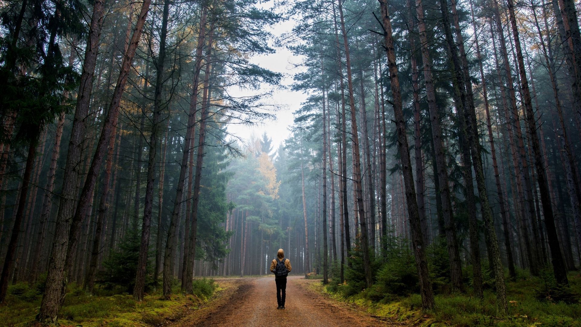 Meet the travellers who pay to get lost in the middle of nowhere | Euronews