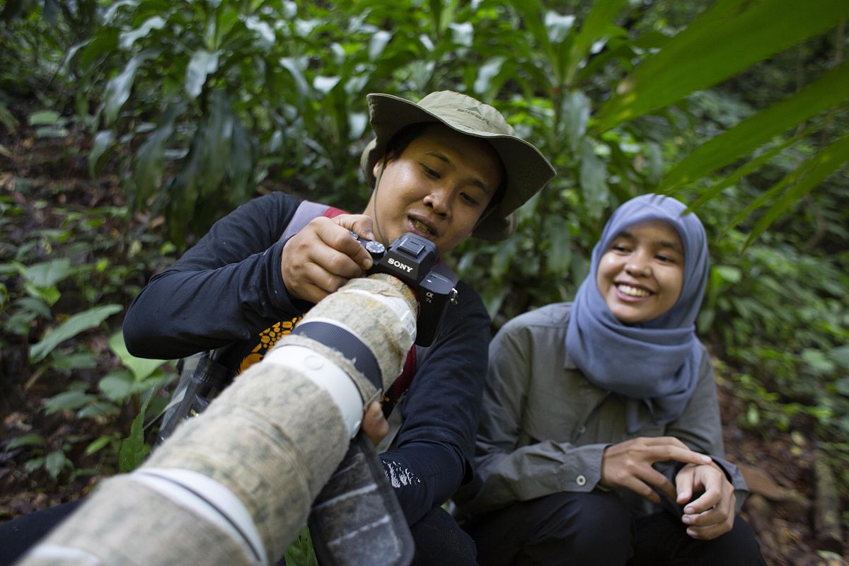 The Indonesian conservationists saving endangered gibbons | Euronews