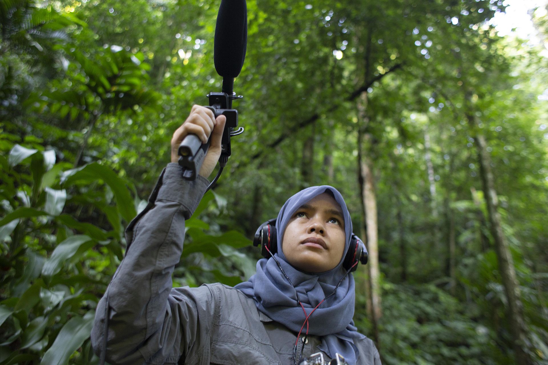 The Indonesian conservationists saving endangered gibbons | Euronews