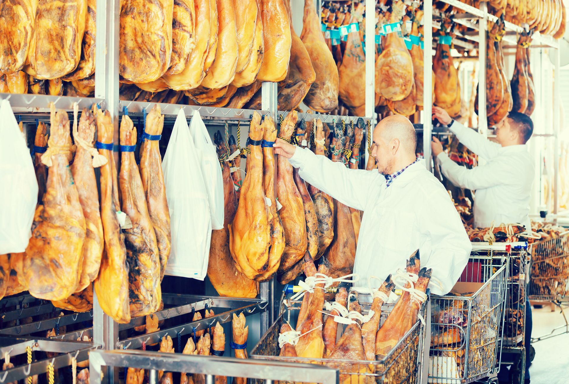 70 million livestock are slaughtered a year in Spain. Can the country ...
