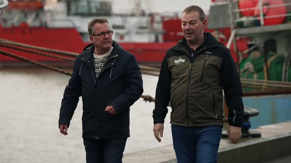 Where's the catch? The fishery surveys keeping our seas sustainable ...