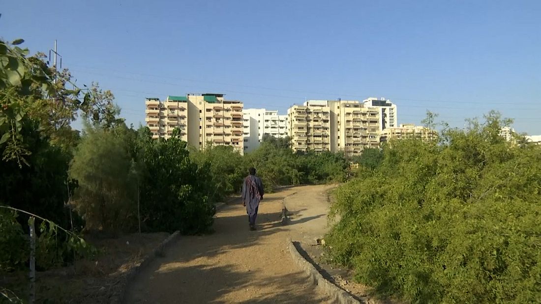 This rundown park in Karachi has been transformed into a thriving urban ...