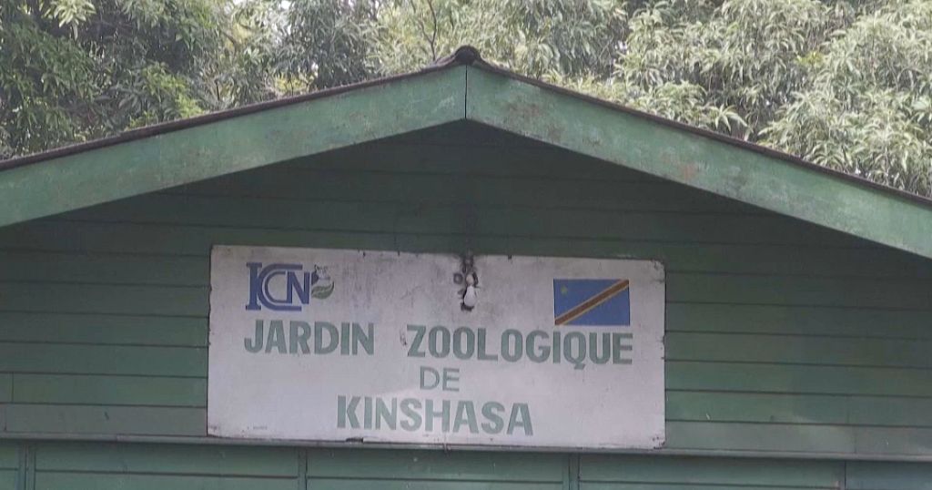 Kinshasa plans to renovate zoo decades after it first opened | Africanews