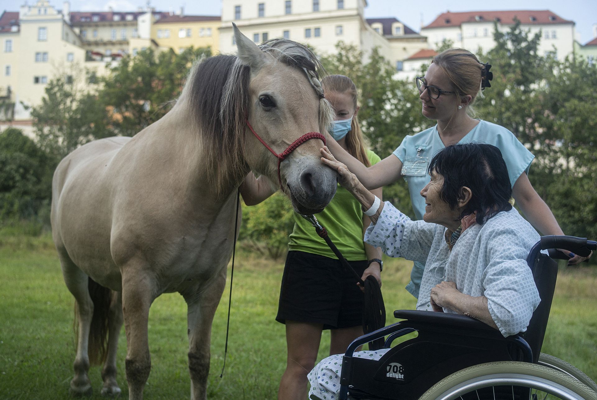 Therapy animals can change children's lives - but it's not always good ...